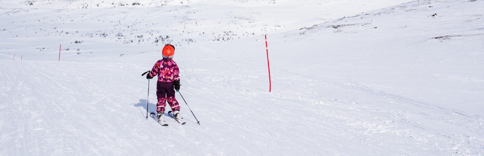 Hvordan velge ski til barn - enkle tips for riktig valg