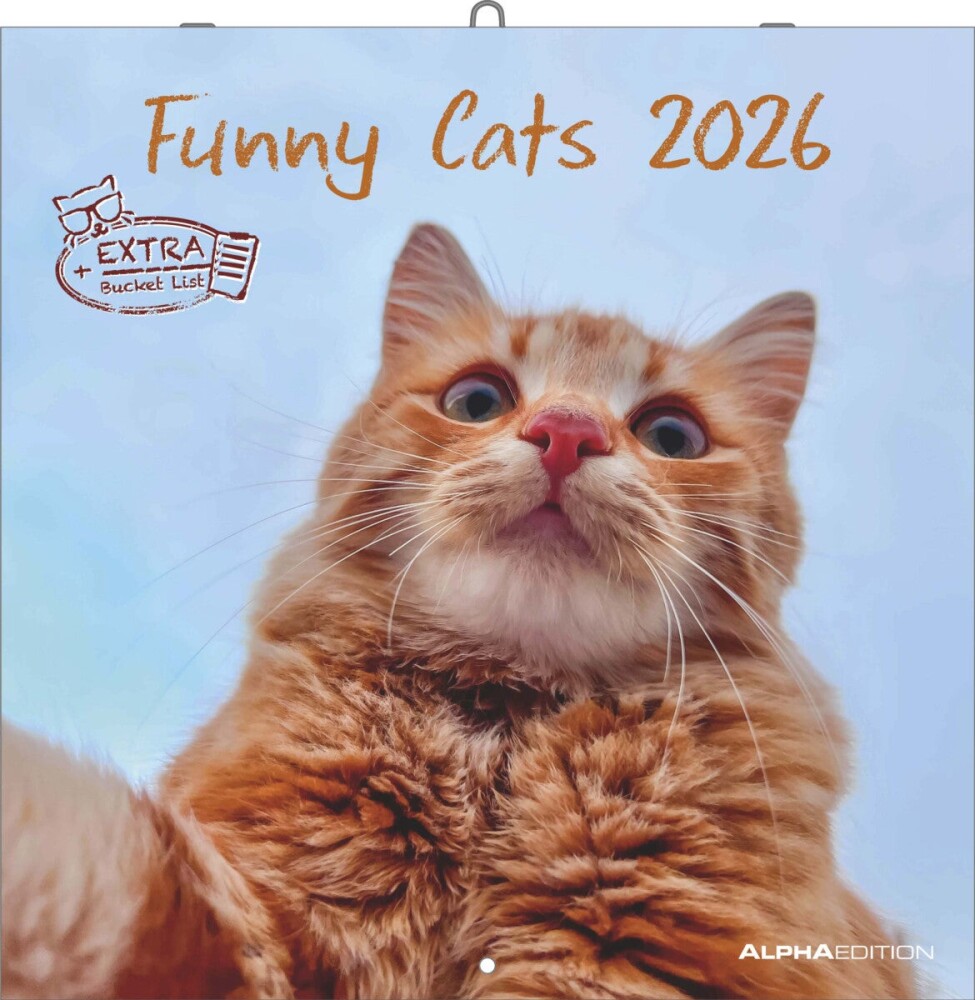 Alpha Kalender 2026 30x30 Funny Cats » Best Pris på Prisradar.no