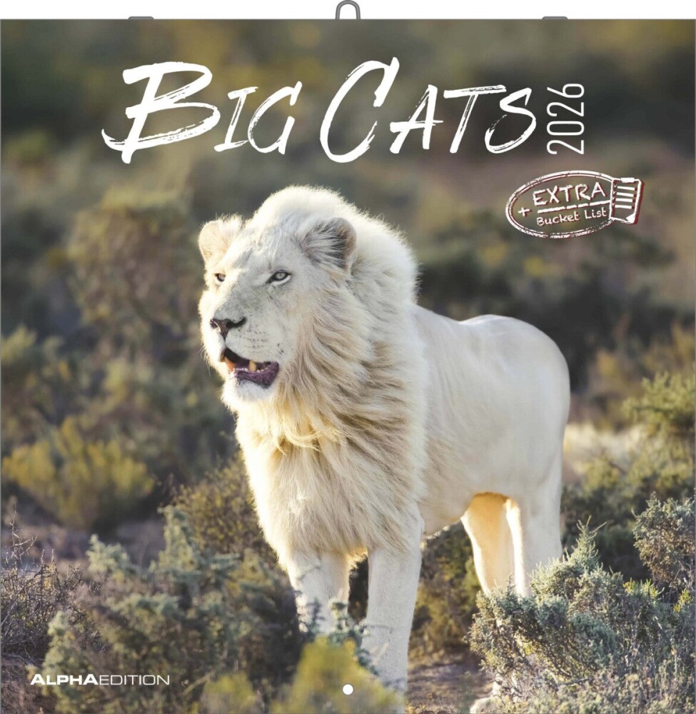 Alpha Kalender 2026 30x30 Big Cats » Best Pris på Prisradar.no