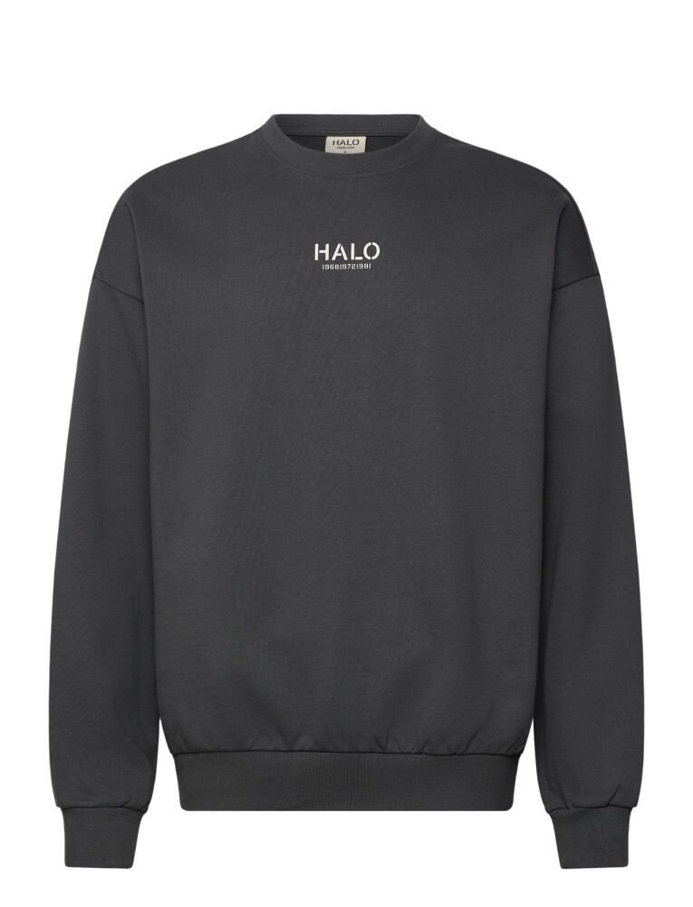 HALO Halo Graphic Boxy Crew - Grey - M » Best Pris på Prisradar.no