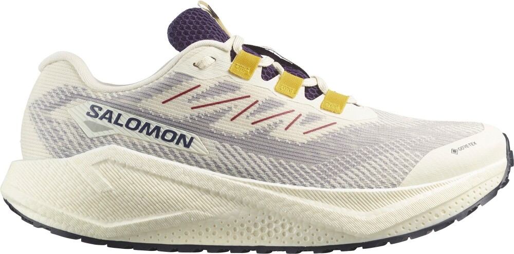 Salomon Men's Aero Blaze 3 Gravel GORE TEX Vanilla Ice/Astral Aura ...