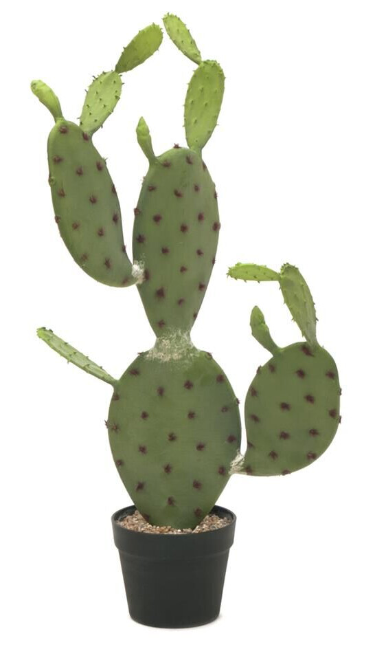 Europalms Nopal Cactus, Artificial Plant 75cm » Best Pris på Prisradar.no